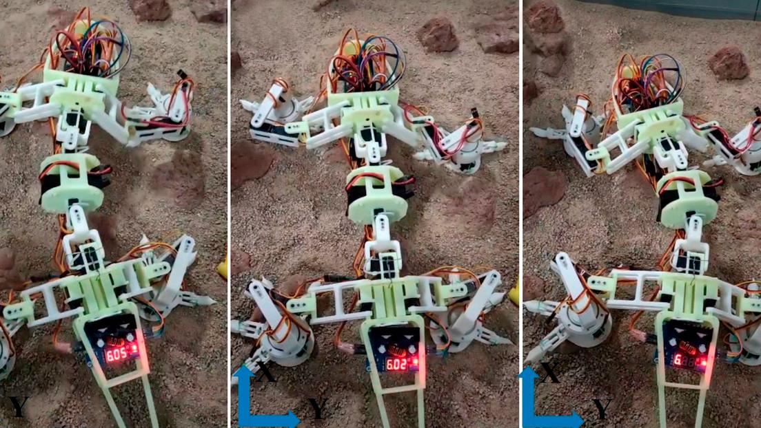 A robotic lizard will explore the surface of Mars – Archyde