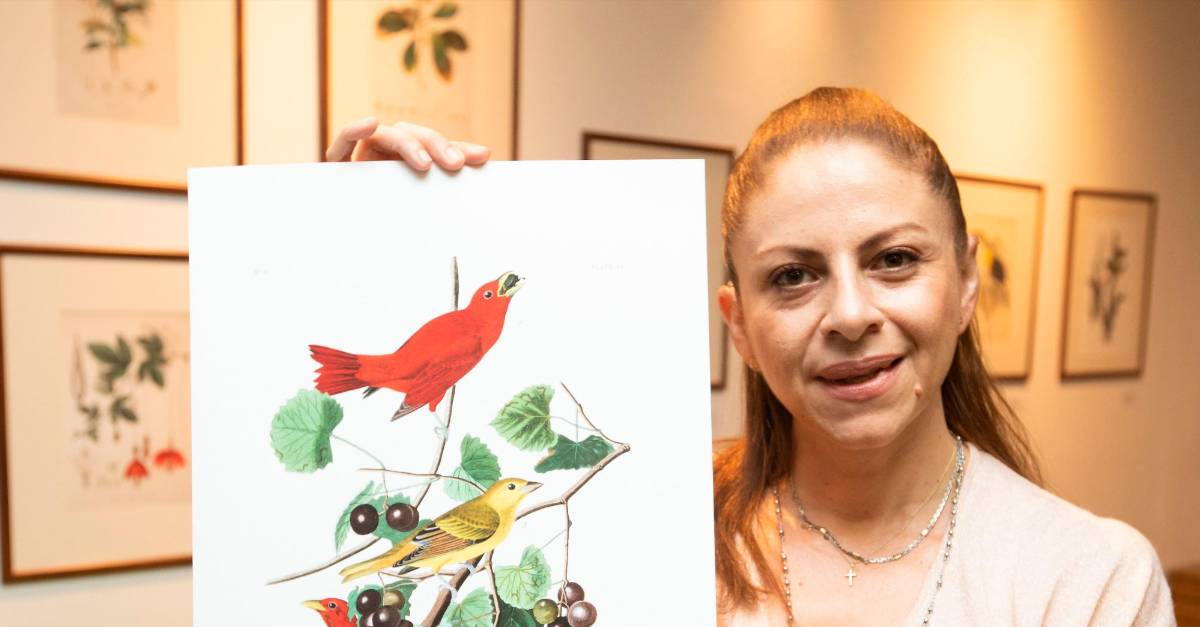 El arte de la ciencia: exposición revela la belleza de las plumas y las ...