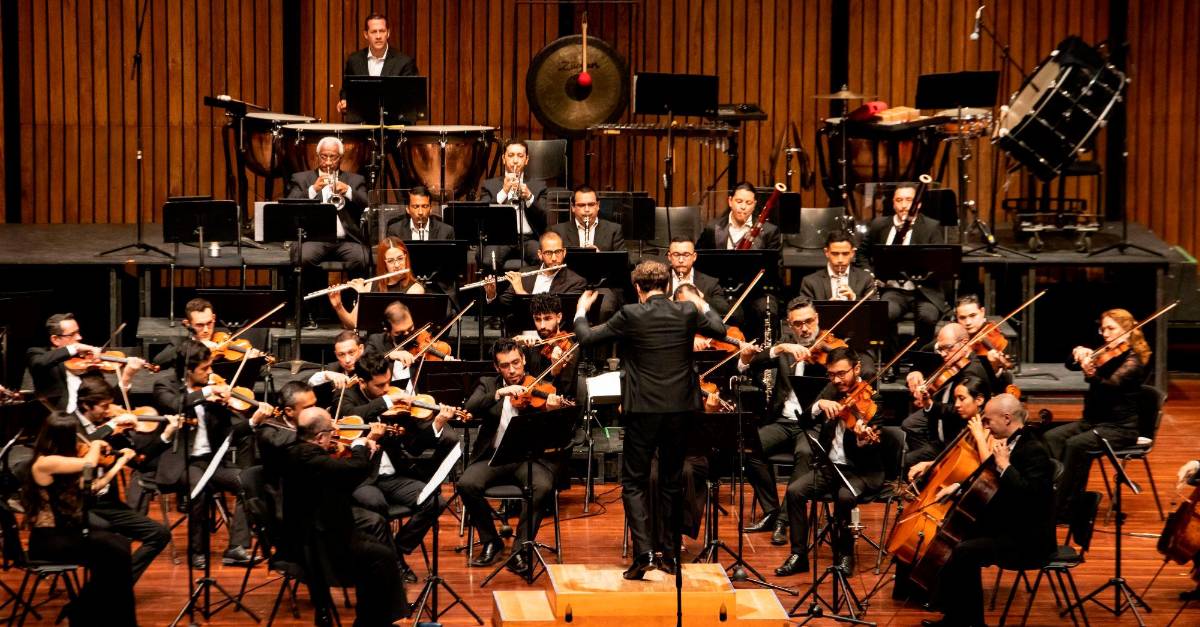 Elogio de la viola, la clave extraña de la orquesta