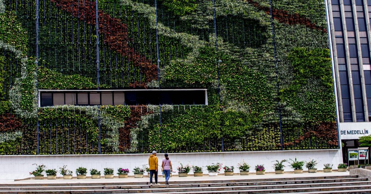 Un jardín vertical, nueva zona verde del centro administrativo La Alpujarra