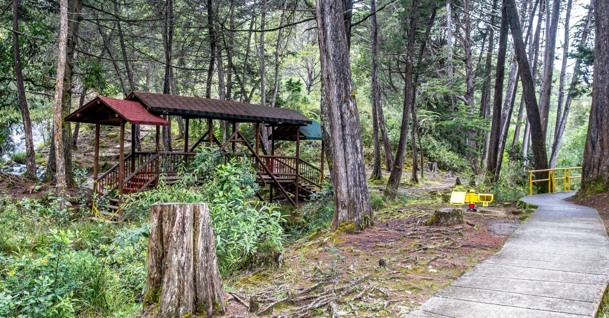 Parque Arví tendrá un sendero para recorrer con la piel y el corazón