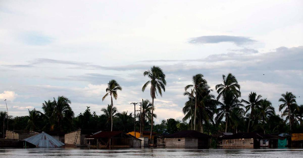 Advierten expansión de las Agc y Eln en Chocó y Antioquia