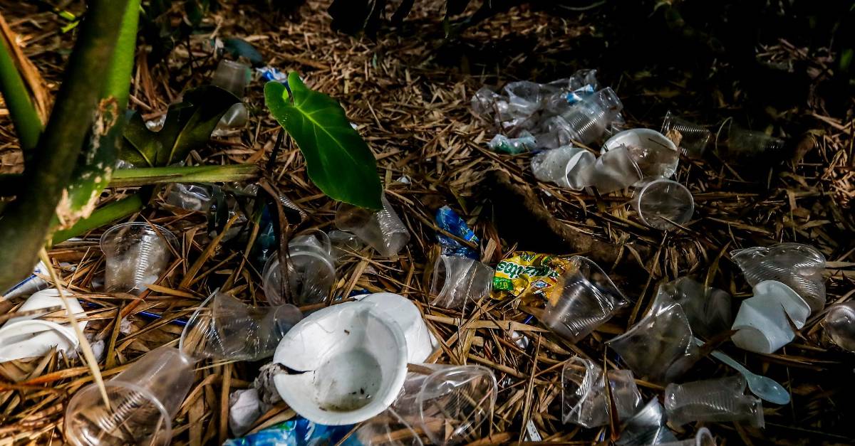 ¿Por qué dejar el consumo de plástico de un solo uso?