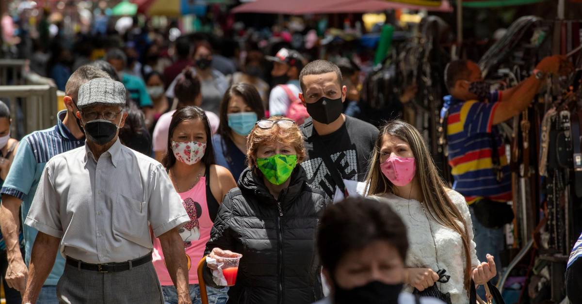 No se descuide: “Perro del infierno” ya es la variante dominante de ...