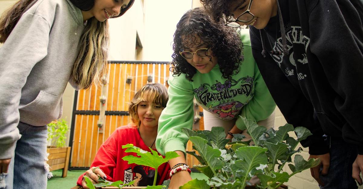 Cosmo Schools: la propuesta educativa que transforma la educación