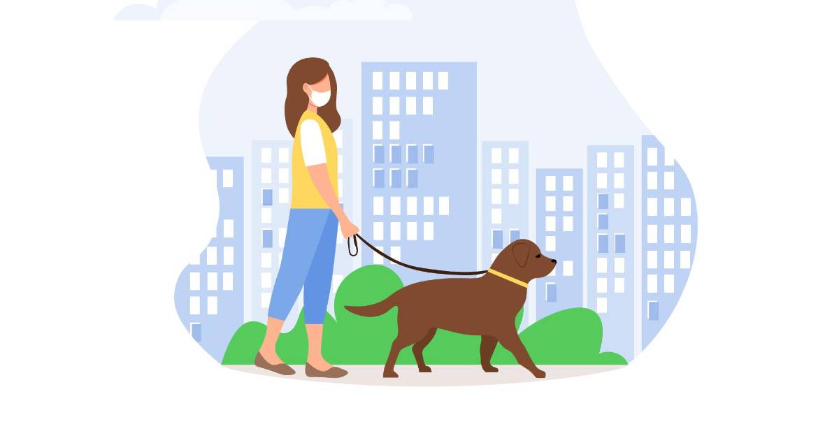 Algunos consejos de los expertos para pasear a su perro