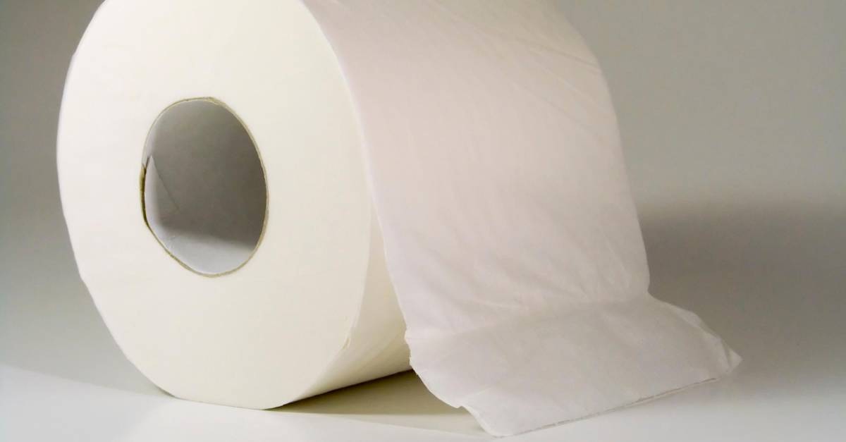 Después de usar el baño, ¿el papel higiénico debe ir en la papelera o ...