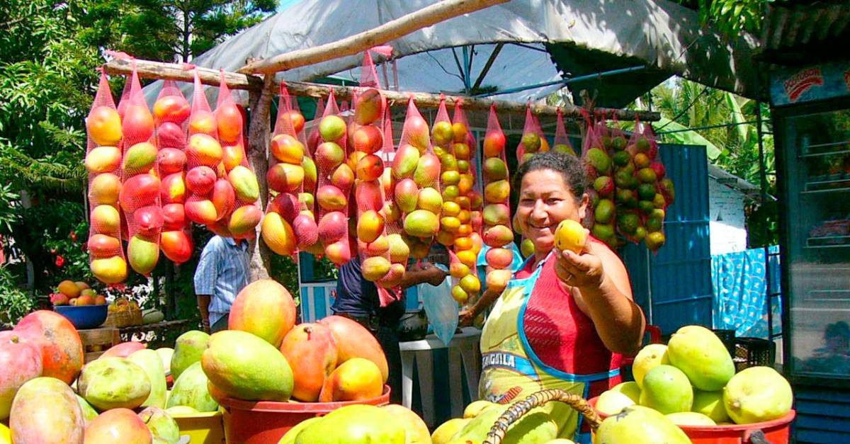 Mango colombiano obtiene aval para entrar en Estados Unidos