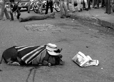 La revaluada tradición en torno al marrano en Medellín