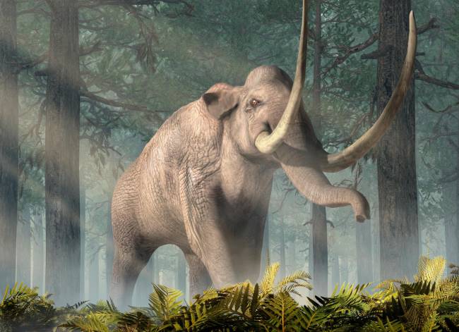 Los animales fantásticos no son solo cosa del cine