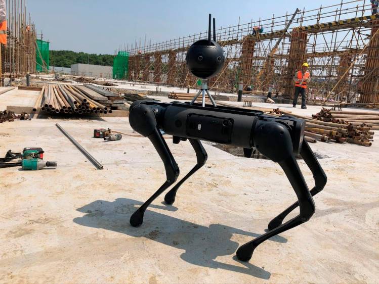 Este perro robot lo vigila o le puede entregar un domicilio: ya está en ...