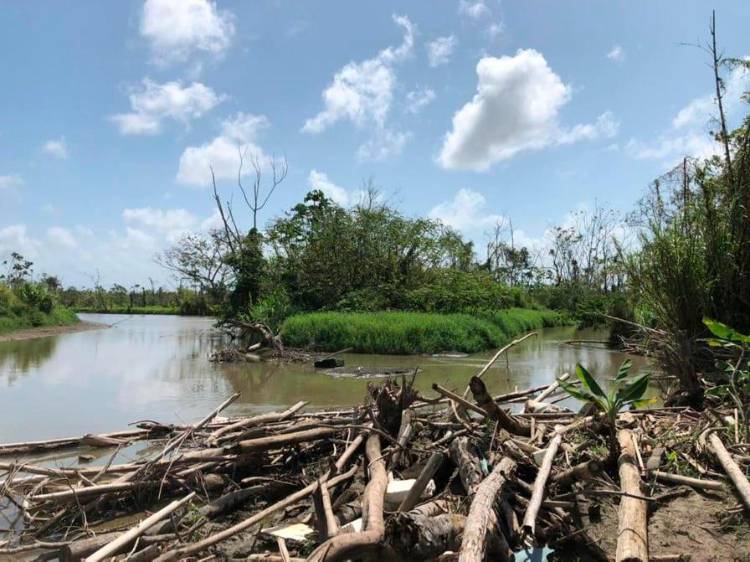 Los $10.000 millones del sector privado para limpiar el Río León