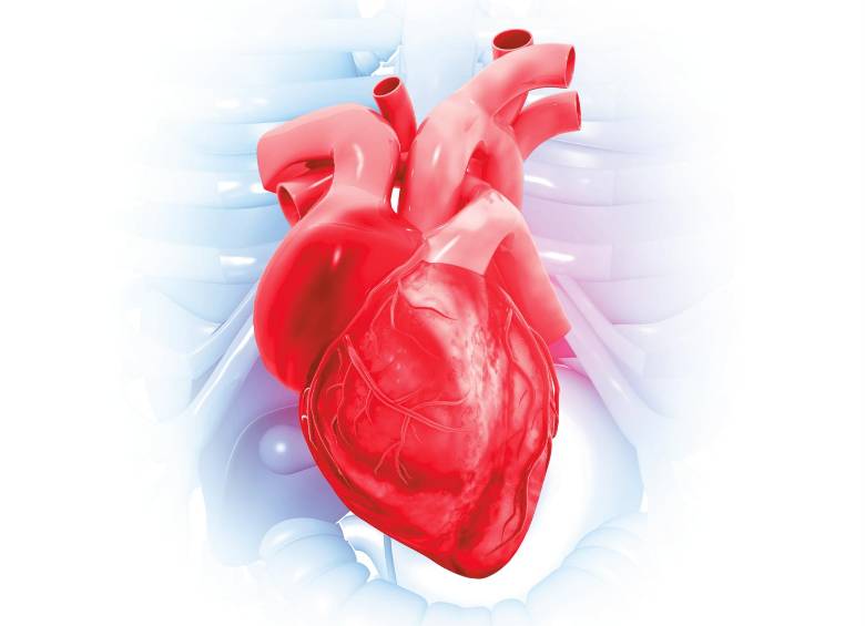 El corazón, todo un motor