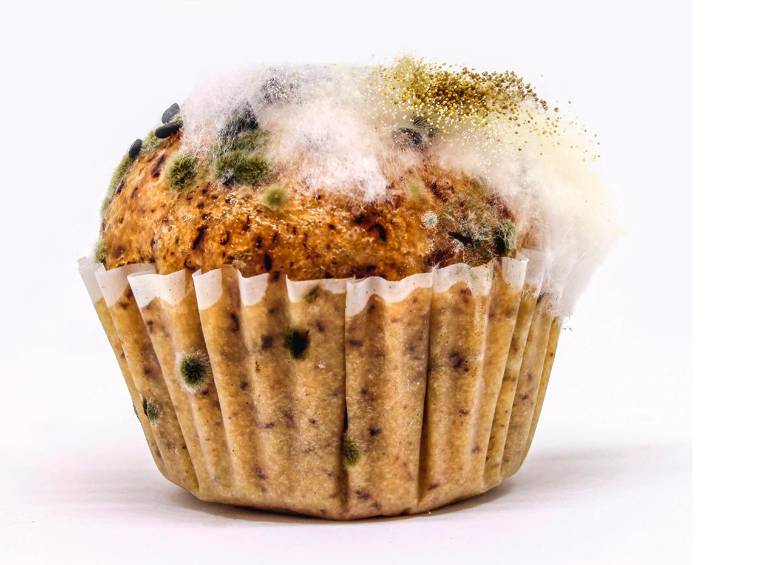 ¿Se puede comer una arepa o una fruta con hongos?