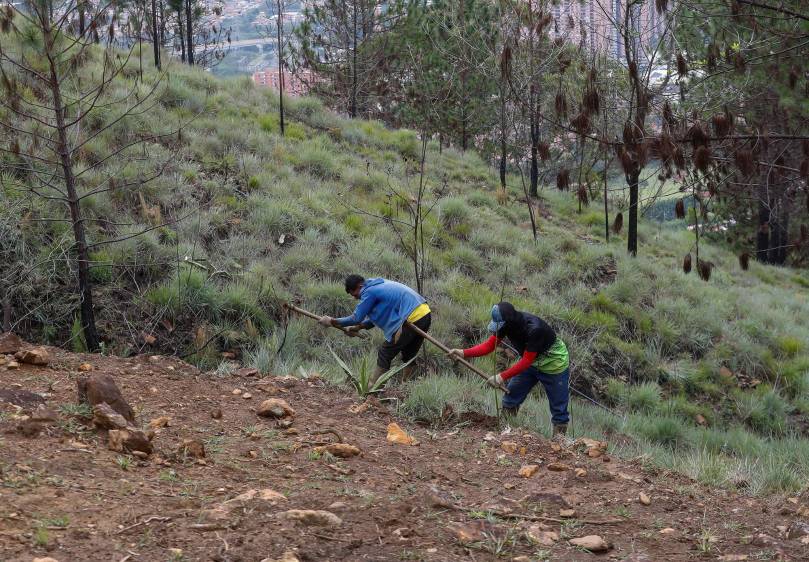 Delincuencia de Bello está loteando el cerro Quitasol