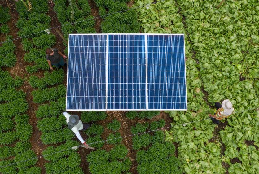 Unergy va por las primeras minigranjas solares del país