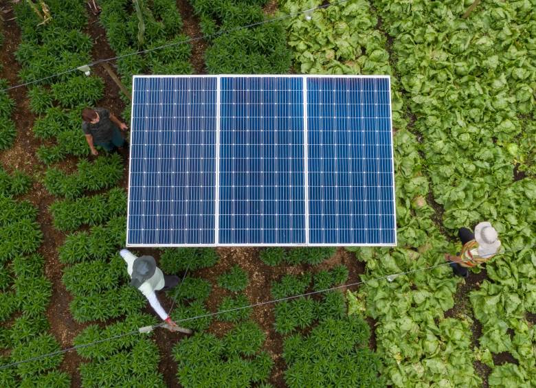 Unergy va por las primeras minigranjas solares del país