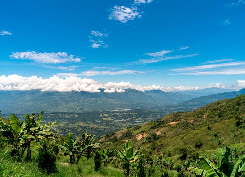 Antioquia en una guía para los amantes de la naturaleza