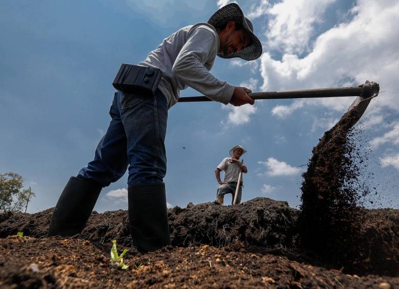 Nueva Jurisdicción Agraria, ¿es la ruta adecuada para solucionar los ...