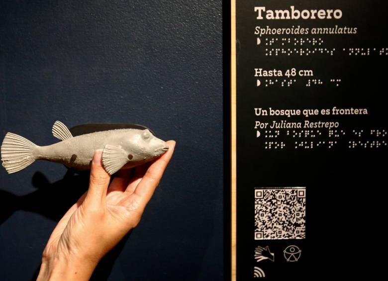 Así se vive una experiencia accesible para ciegos y sordos en el ...