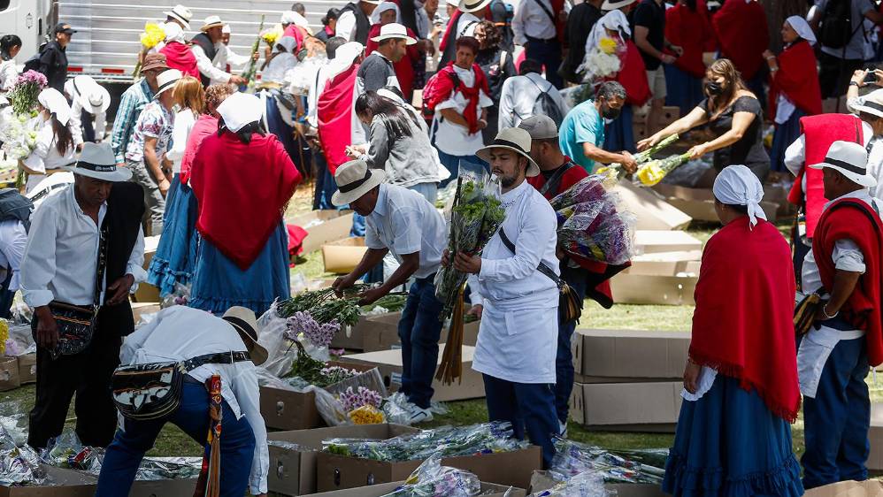 Los silleteros ya tienen las flores para elaborar sus silletas