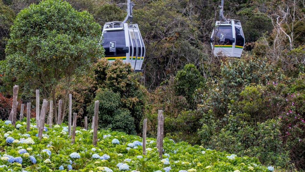 El Parque Arví está de cumpleaños