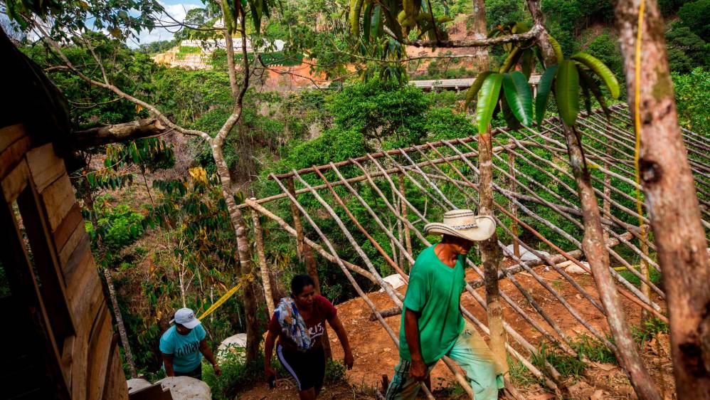 En fotos | Invasores de tierras acabaron con una reserva natural en ...