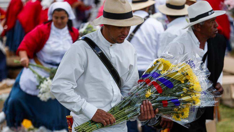 Los silleteros ya tienen las flores para elaborar sus silletas