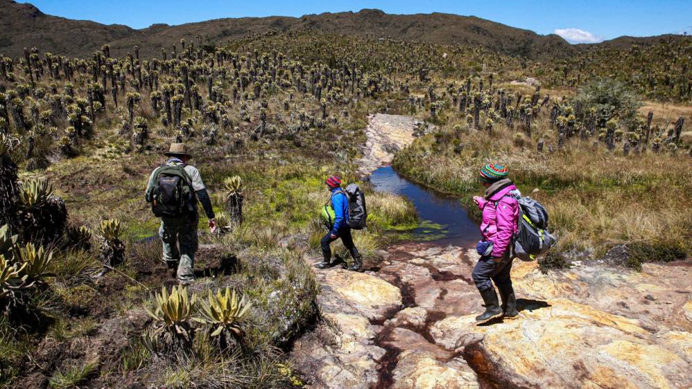 En imágenes | Así es como una familia cuida el Páramo del Sol en Urrao