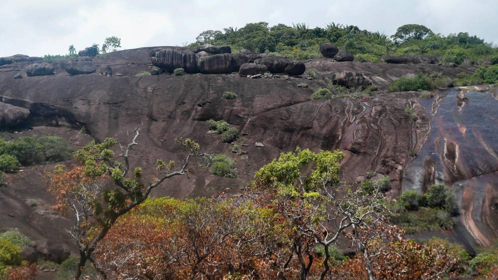 El departamento del Vichada entre rocas del Escudo Guayanés