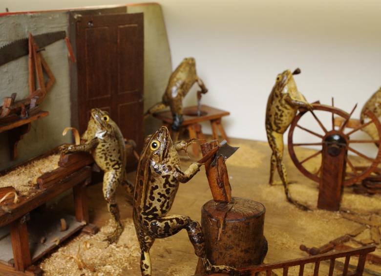 Froggyland, el curioso museo de las ranas