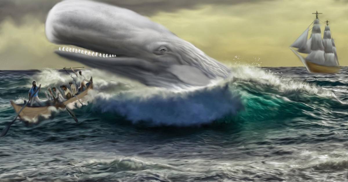 La historia de Moby Dick, la temible ballena presente en la Fiesta del ...