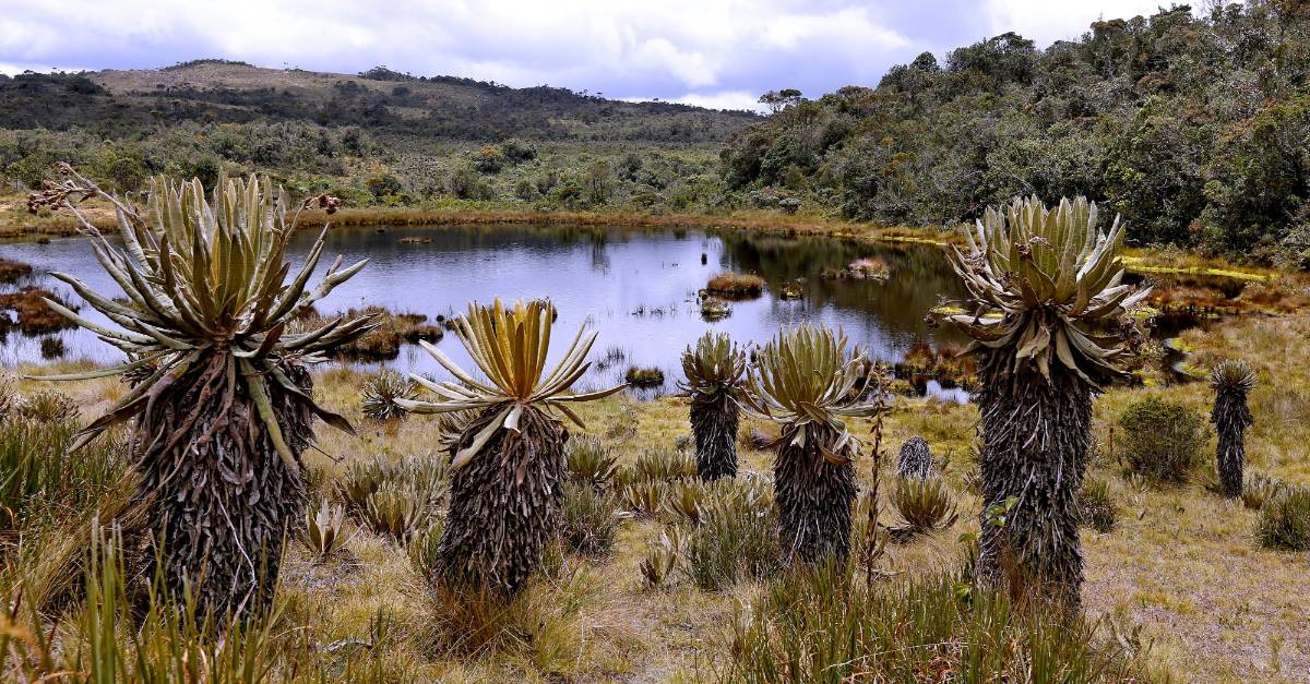 Espacios naturales que encantan