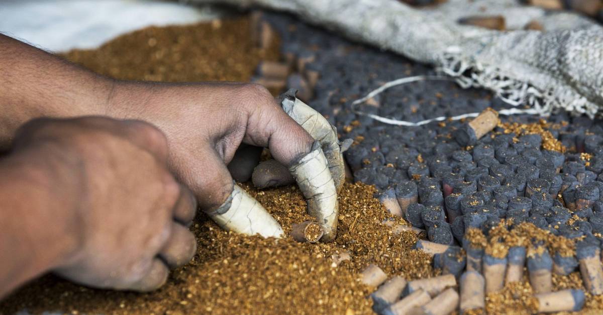 Salinas, el lugar con más pólvora de Antioquia