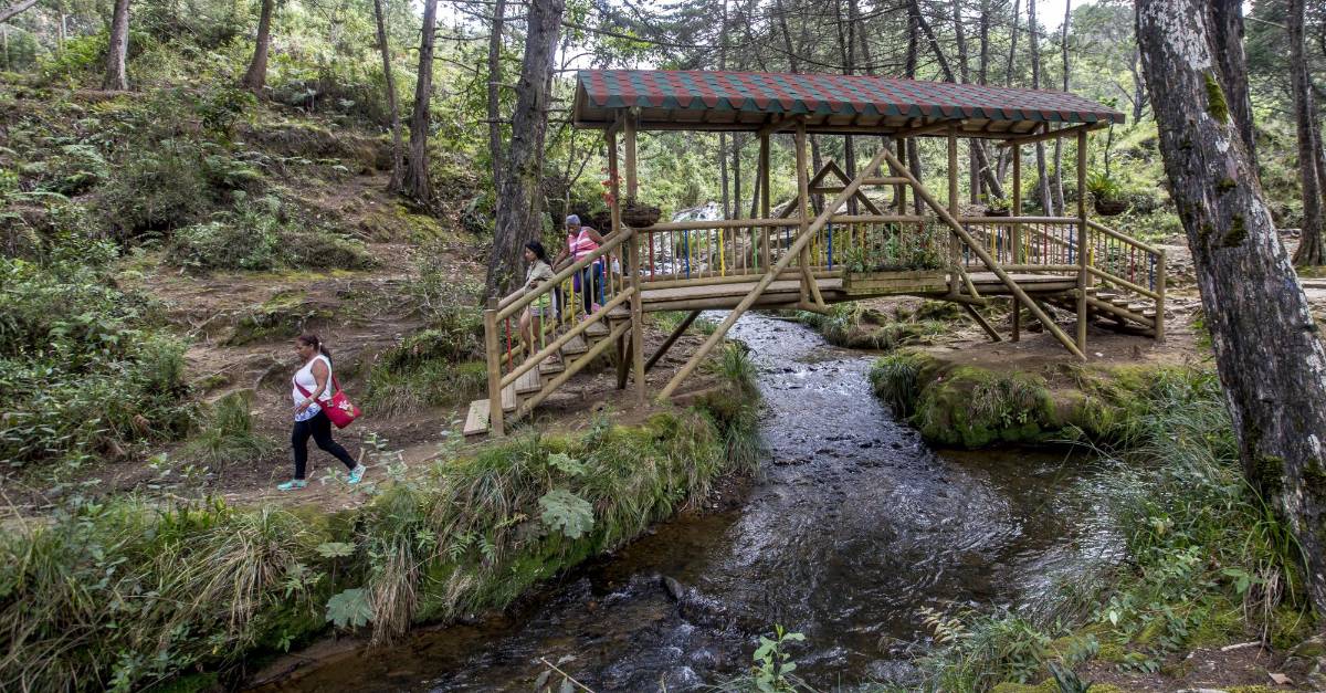 Extranjeros y estratos 1 y 2 se gozan el Parque Arví