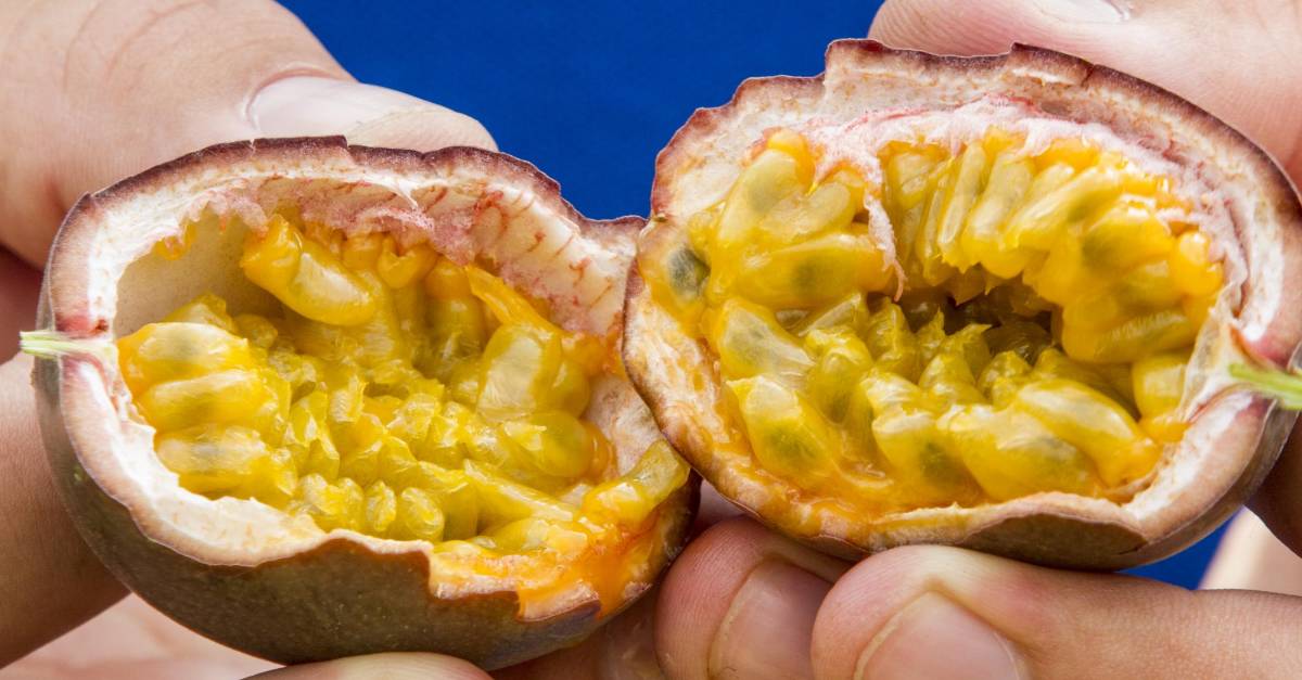 Gulupa, la estrella de la exportación colombiana