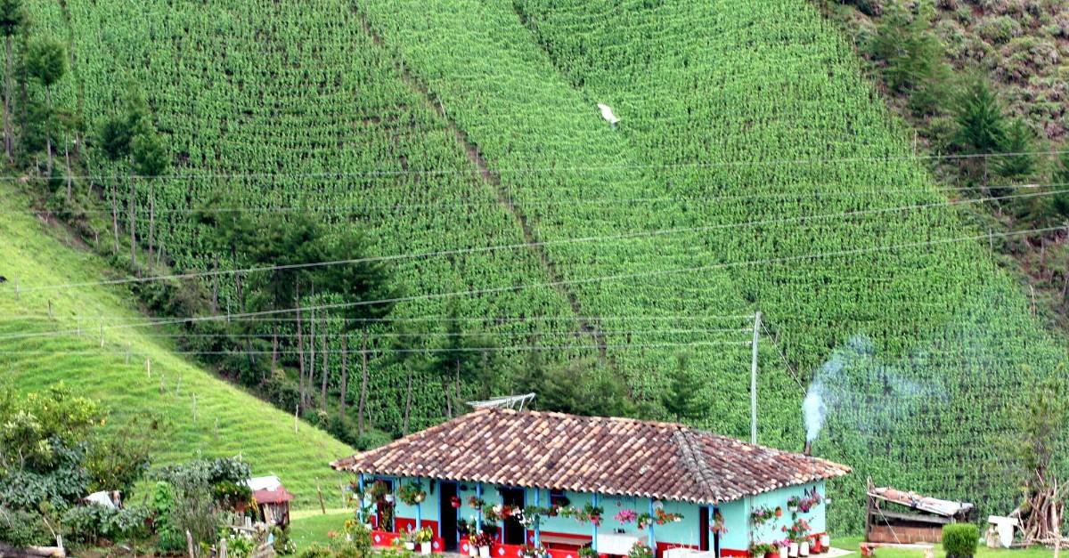 Lo que debe saber para construir vivienda rural