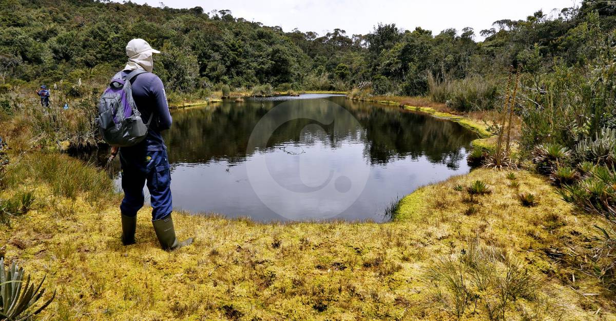 Entérese cómo puede visitar los páramos con responsabilidad