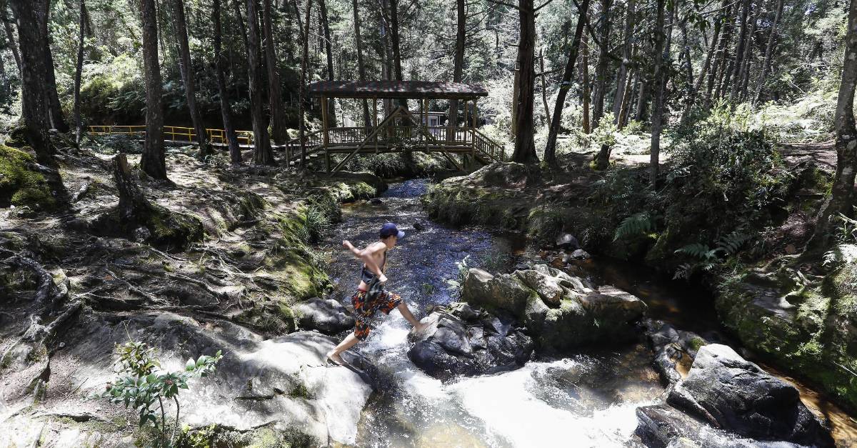 ¡Qué orgullo! El Parque Arví ganó otro premio de turismo sostenible
