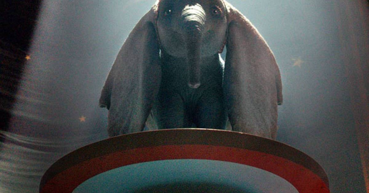 Nuevo avance de Dumbo, el elefante más tierno