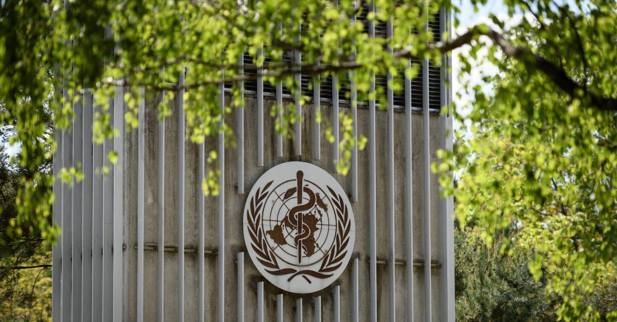 ONU y OMS convocan colaboración internacional para acelerar vacuna ...