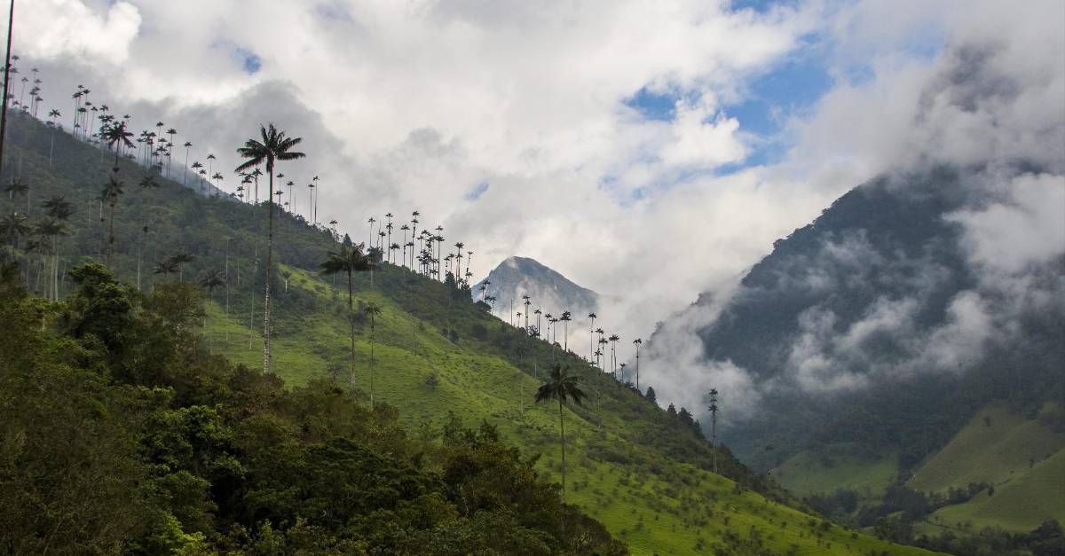 Turismo en el Cocora tendrá que replantearse