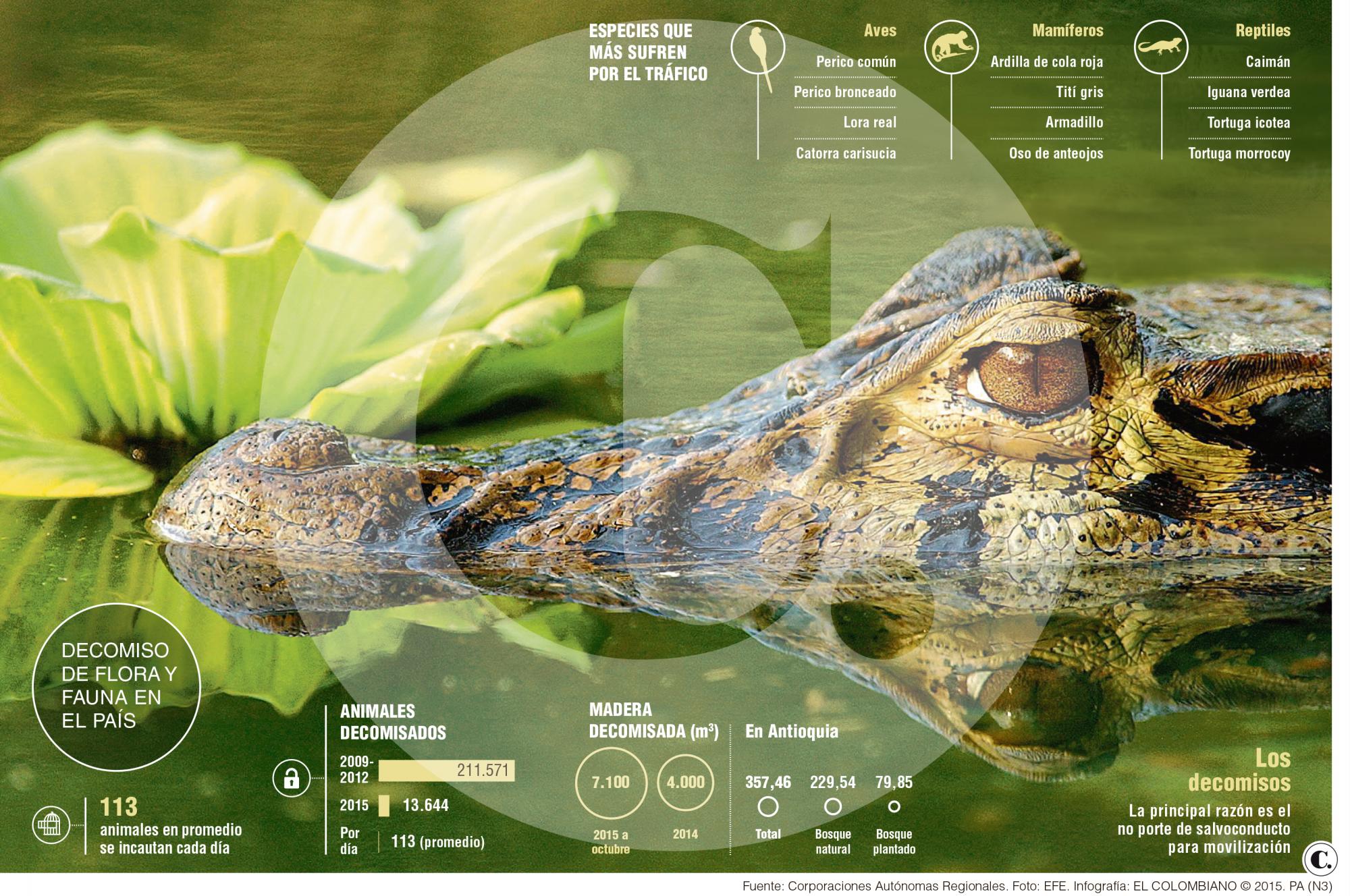 Tráfico de animales, un tema que sigue en el olvido