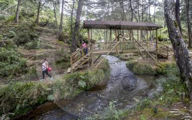 El Parque Arví, entre los tres mejores destinos turísticos sostenibles ...