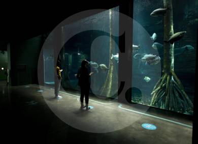 El Parque Explora reabrirá sus puertas desde el 1 de julio