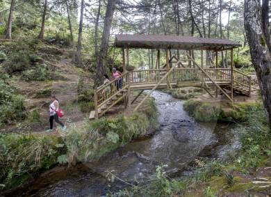 El Parque Arví, entre los tres mejores destinos turísticos sostenibles ...