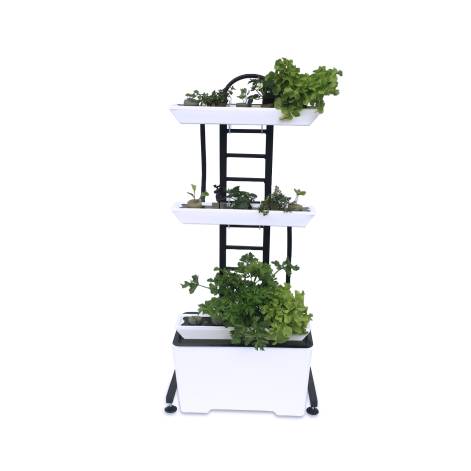 Recomendaciones Para Tener Una Huerta En Casa