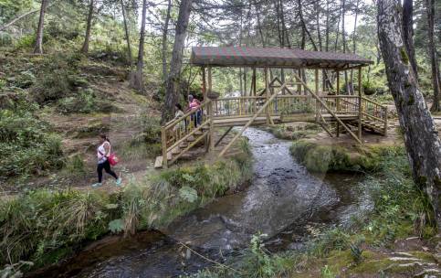 El Parque Arví, entre los tres mejores destinos turísticos sostenibles ...