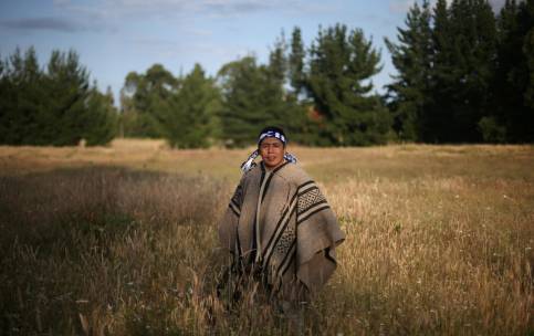 Esto es lo que hay que escucharles a los mapuches