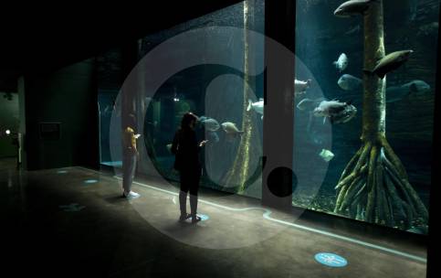 El Parque Explora reabrirá sus puertas desde el 1 de julio
